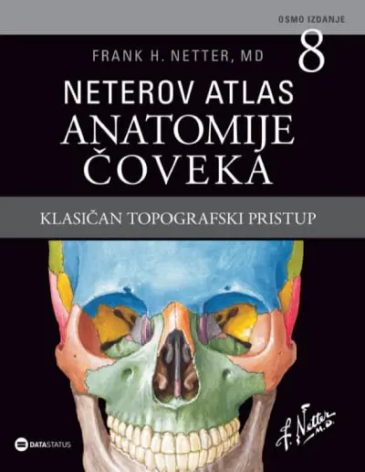 Neterov atlas anatomije čoveka: Klasičan topografski pristup