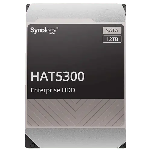 SYNOLOGY INCORPORATED NAS memorija HAT5300-12TB