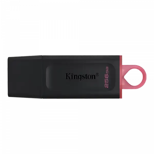 KINGSTON USB Flash memorija 256GB DTX/256GB