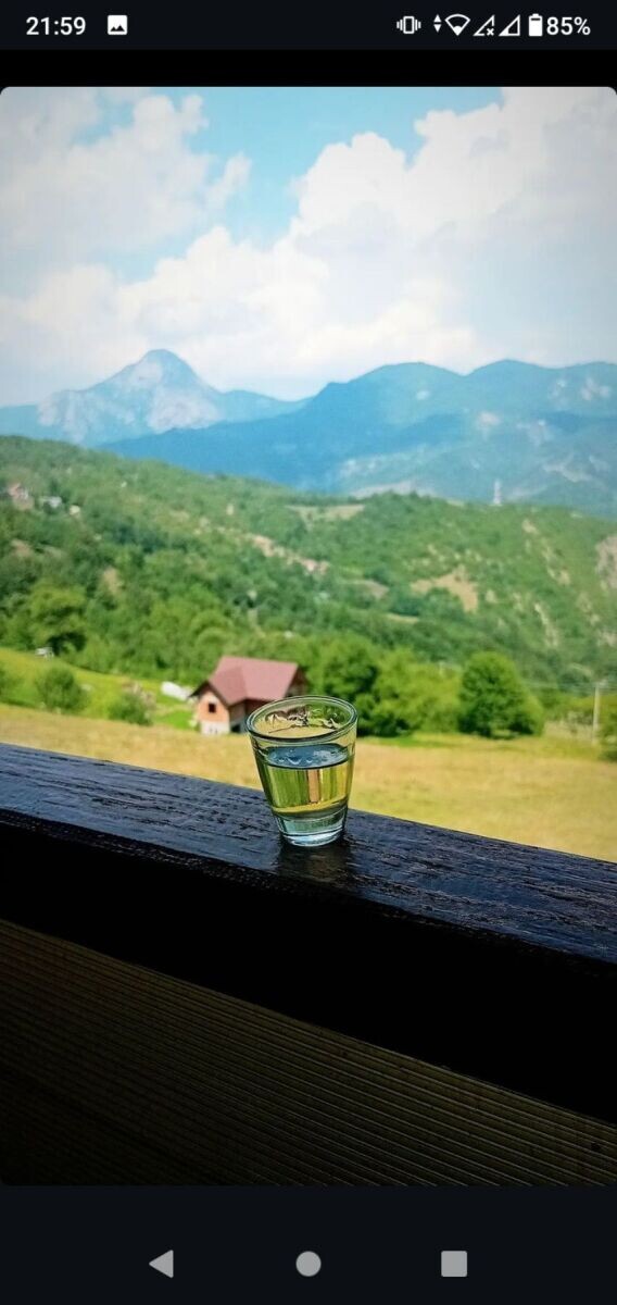 Na prodaju domaća rakija od šljive jabuke i kruške.