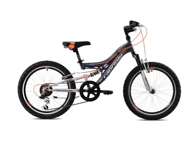 CAPRIOLO MTB CTX200 20''/6HT Bicikl za dečake, Sivo-narandžasti