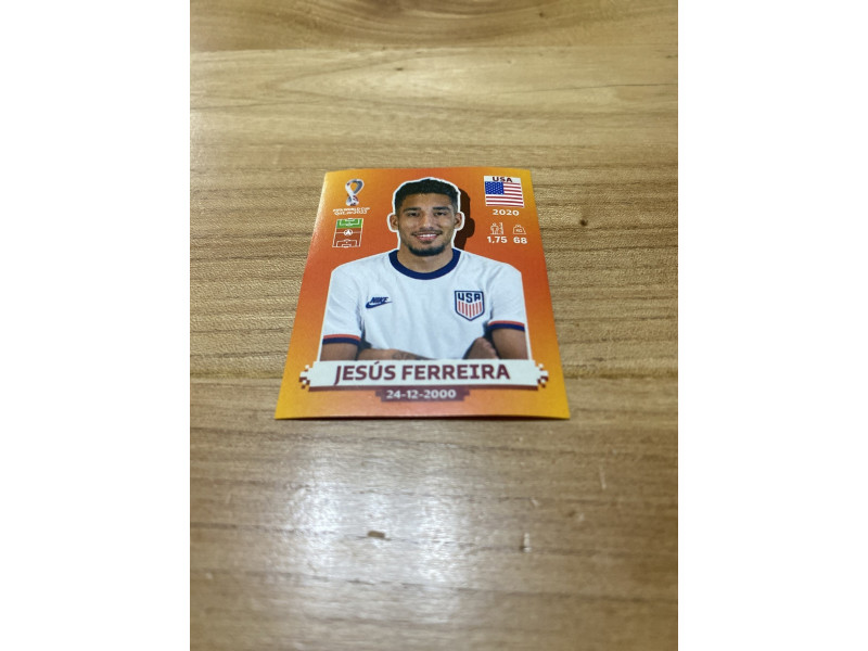 Qatar 2022 panini USA 15