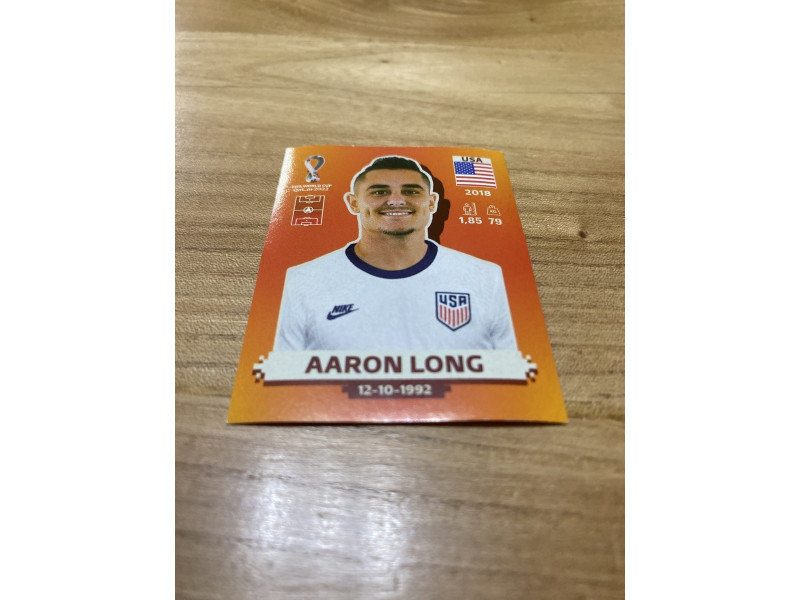 Qatar 2022 panini USA 5