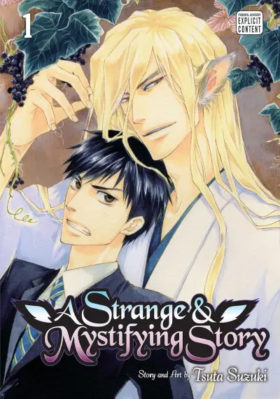 A Strange and Mystifying Story, Vol. 1