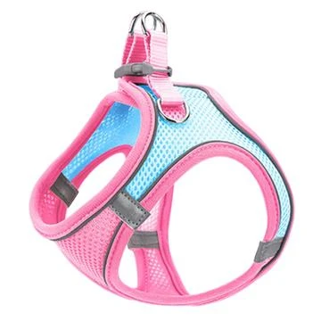 REFLECTIVE CAT/DOG HARNESS WITH LEASH - L - BLUE / PINK