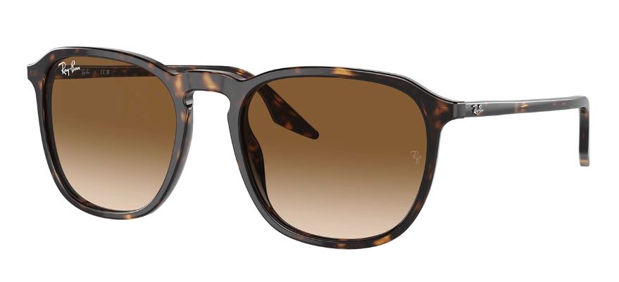 RAY BAN Sunčane naočare 0RB2203 902/51 52