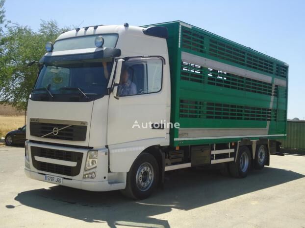 Volvo FH 480 kamion za prevoz stoke