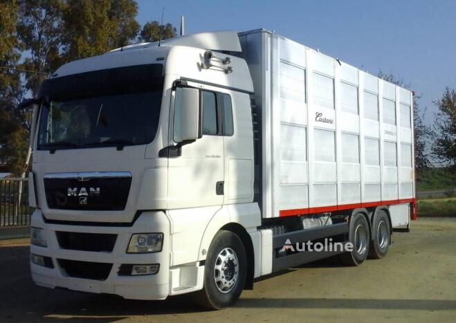 MAN TGX 28 480 kamion za prevoz stoke