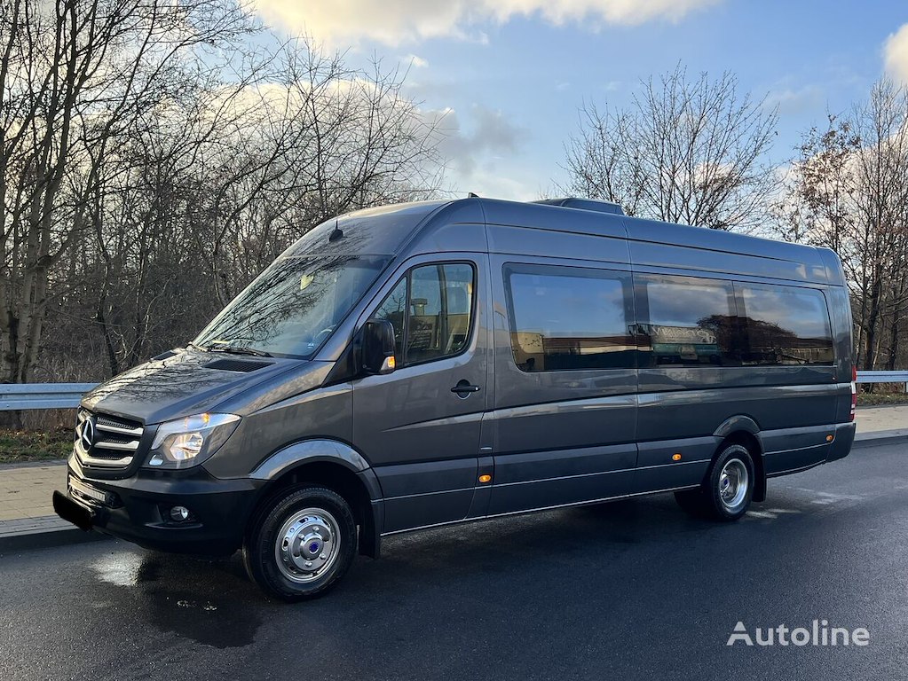 Mercedes-Benz Sprinter 516 ALTAS putnički minibus