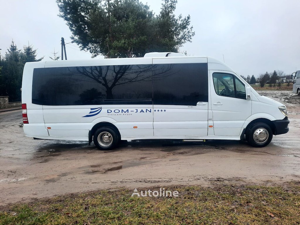 Mercedes-Benz Sprinter 519 putnički minibus