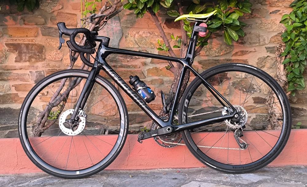 Giant TCR SL