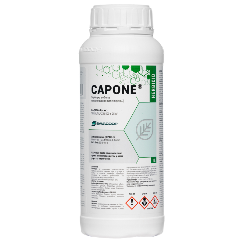 Capone