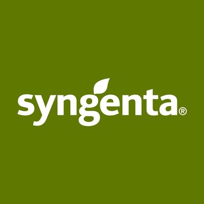 SYNGENTA SUNCOKRET NEOMA (150MK) CLEARFIELD