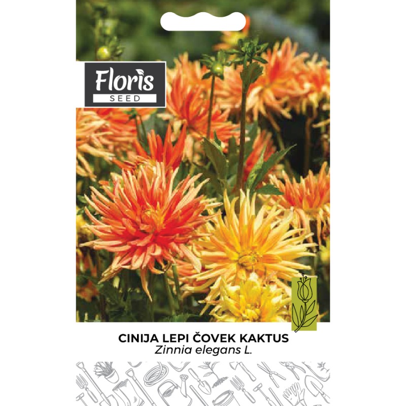 FLORIS-Cveće-Cinija Kaktus 0,5g