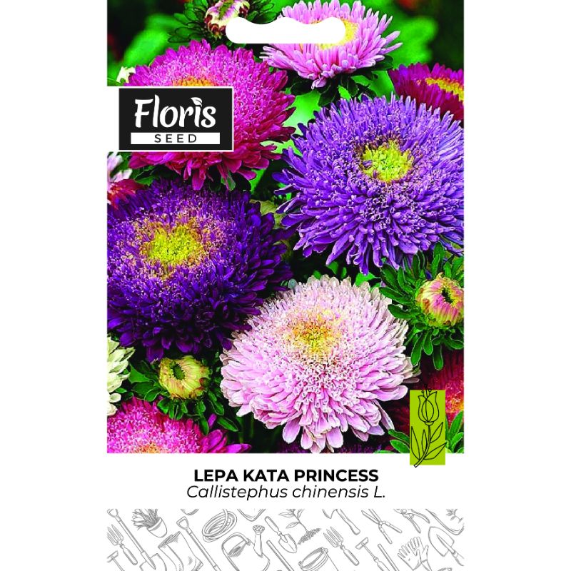 FLORIS-Cveće-Lepa Kata Princess 0,5g
