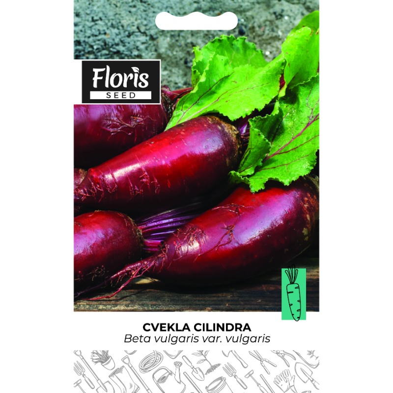 FLORIS-POVRĆE-CVEKLA CYLINDRA 3G