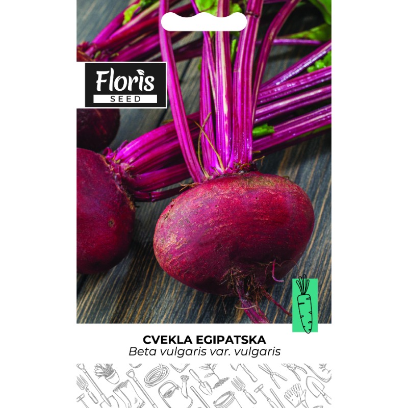 FLORIS-POVRĆE-CVEKLA EGIPATSKA 3G