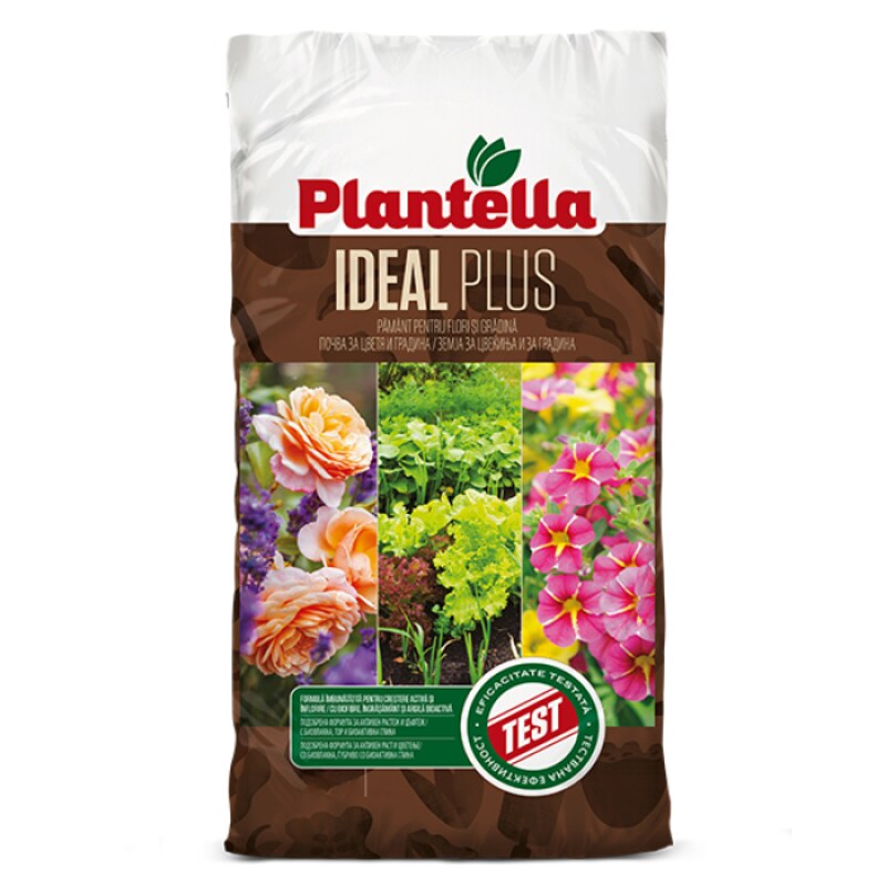 PLANTELLA IDEAL SUPSTRAT