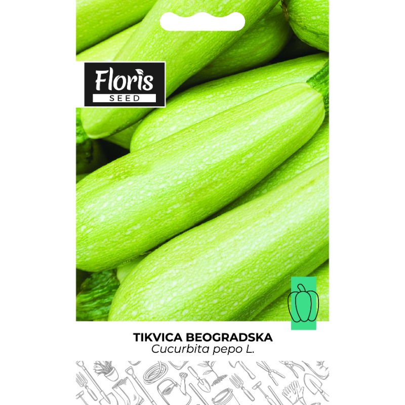 FLORIS-POVRĆE-TIKVICA BEOGRADSKA 2G
