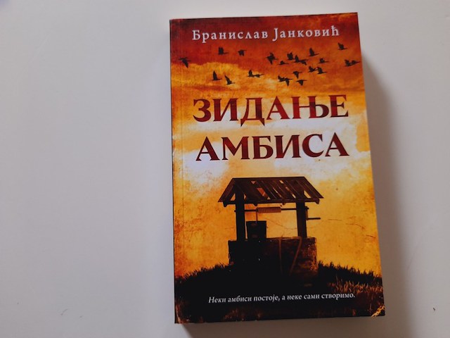 Zidanje ambisa - Branislav Janković