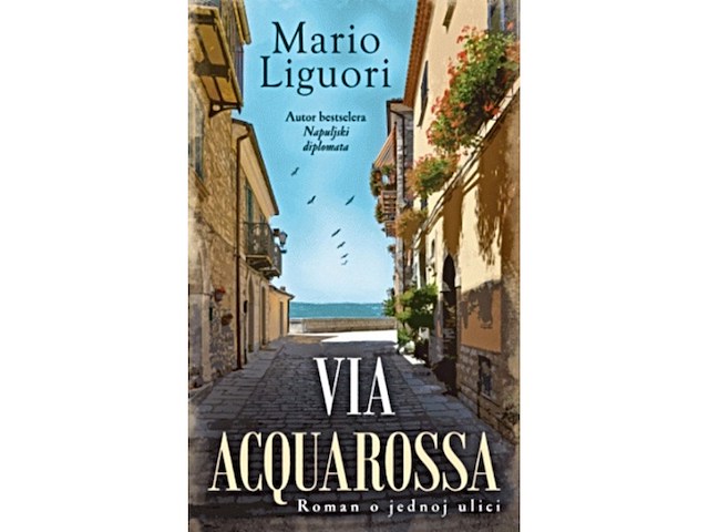 Via Acquarossa : roman o jednoj ulici - Mario Liguori