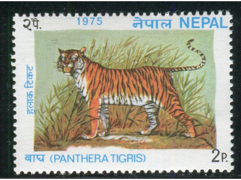 037 - Nepal - Tigar - nežigosana marka