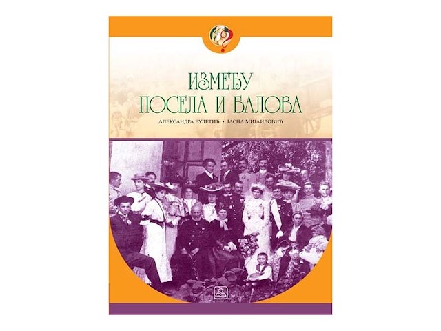 IZMEĐU POSELA I BALOVA  - Aleksandra Vuletić