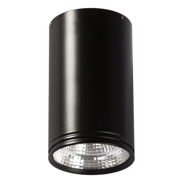 LED plafonska lampa F2602-12C BK