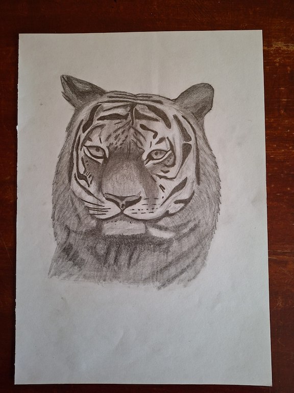 Tigar