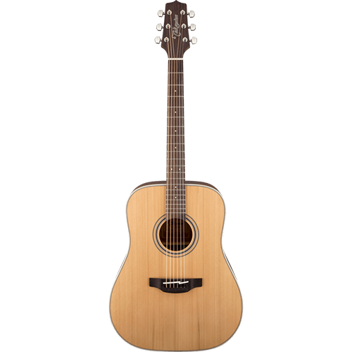 Takamine GD20-NS