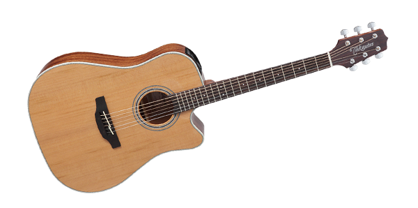 Takamine GD20CE-NS