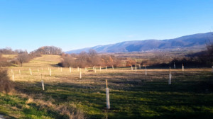 Sokobanja, Vrmdza, građevinsko zemljište, 30,5a, uknj.