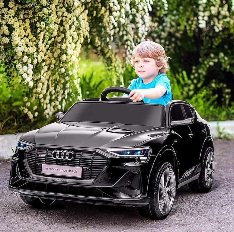 Najnoviji model     Pravo iz fabrike      Licenciran          Audi E-tron