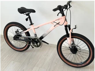 WinnerBike Dečiji bicikl 20" QL BCK0800