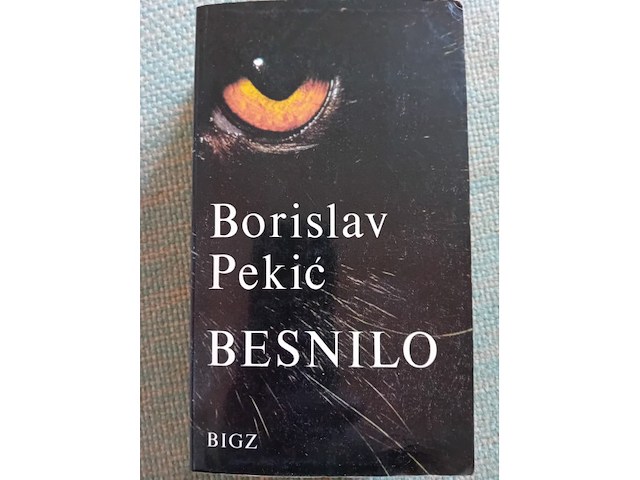 Borislav Pekić Besnilo