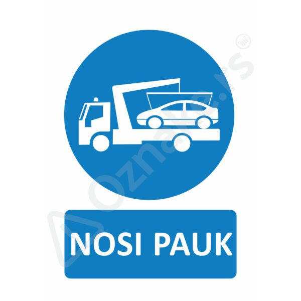 Nosi pauk