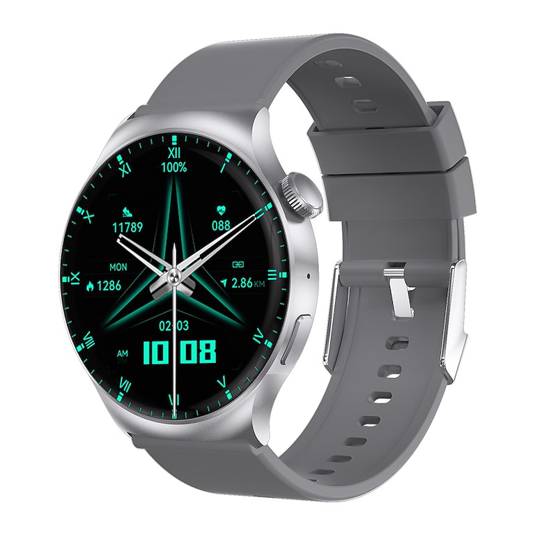 Smart Watch DT4 Mate srebrni (silikonska narukvica) (MS)