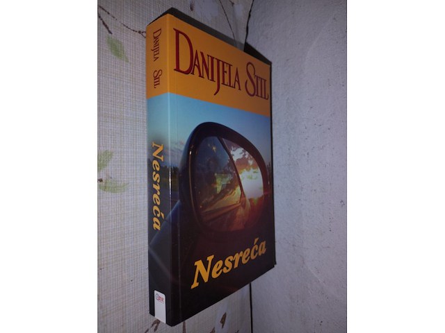 DANIJELA STIL - Nesreća