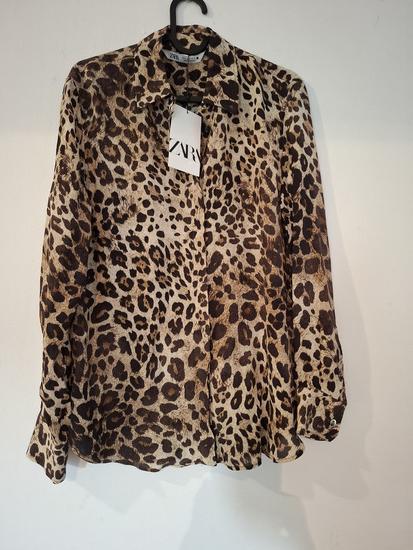 ZARA *animal*