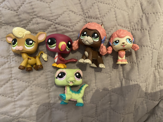 Littlest pet shop igracke