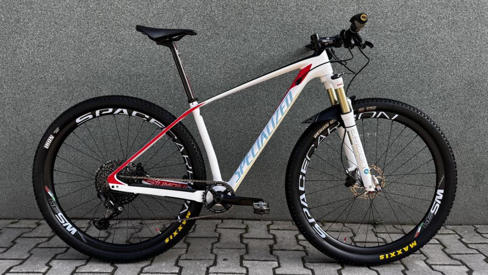 Specialized Stumpjumper M