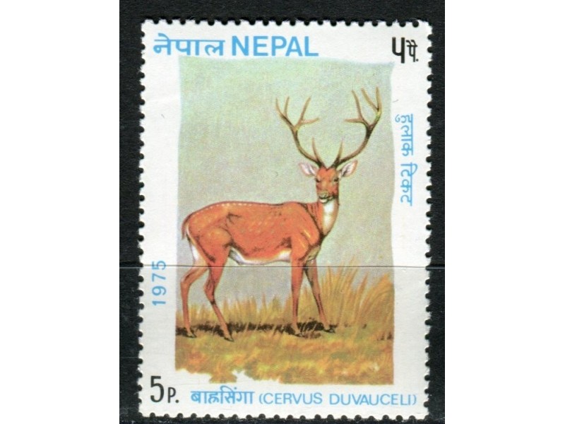 036 - Nepal - Jelen - nežigosana marka