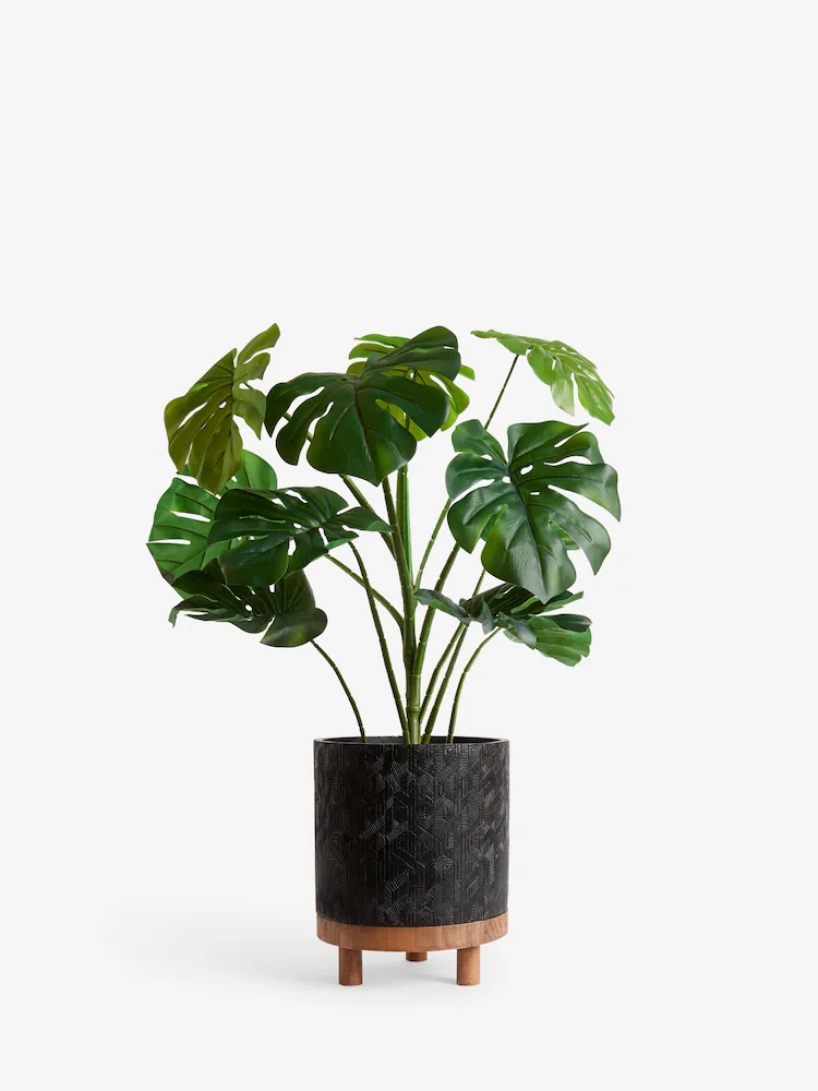 Veštačka Monstera Biljka U Crno Bronks Planter