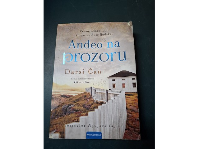 Darsi Čan - Anđeo na prozoru