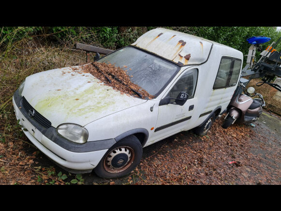 Prodaje se Opel Combo laki furgon na aukciji