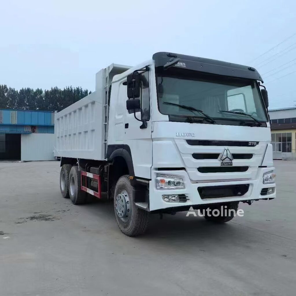 Sinotruk Howo Howo 375HP kiper