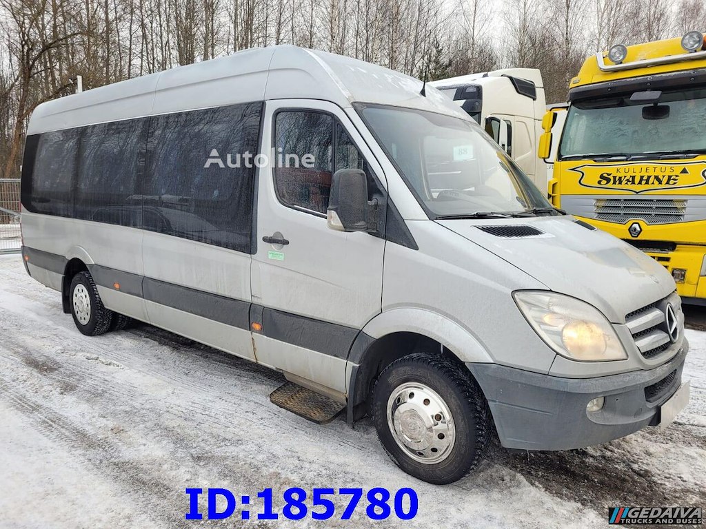 Mercedes-Benz Sprinter 516 - VIP - Avestark - 17 Seater turistički autobus