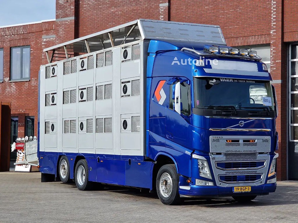 Volvo FH 13.460 Globetrotter 6x2*4 - Cuppers 1/2/3 deck livestock - Wa kamion za prevoz stoke