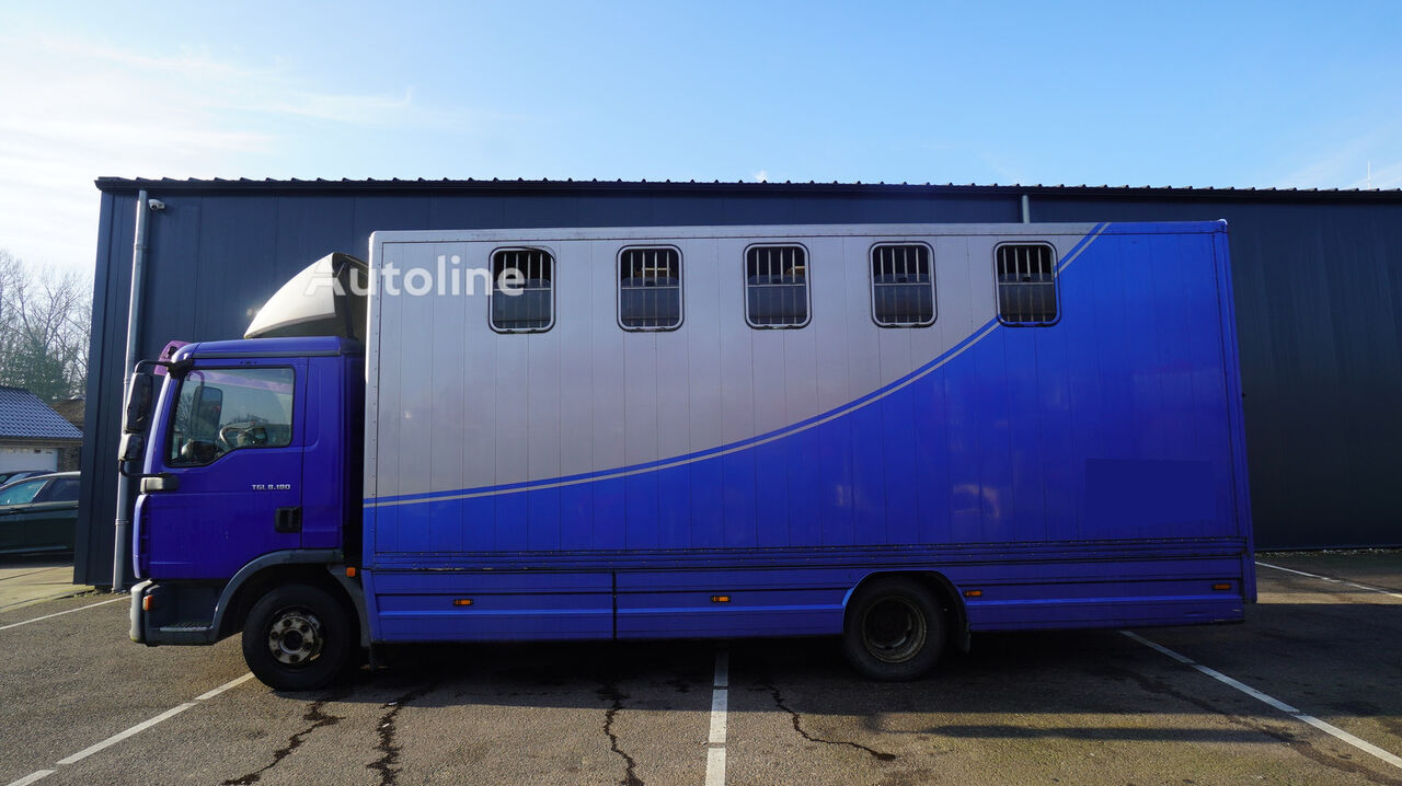 MAN TGL 8.180 HORSE TRANPORT 515.000KM kamion za prevoz konja