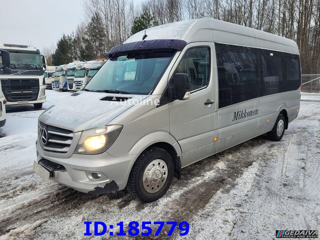 Mercedes-Benz Sprinter 316 - VIP - Avestark putnički minibus